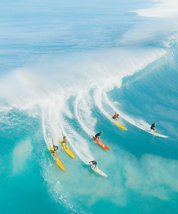Surf & Fashion | Surfboards, Swimwear & Accessories | SurfStitch